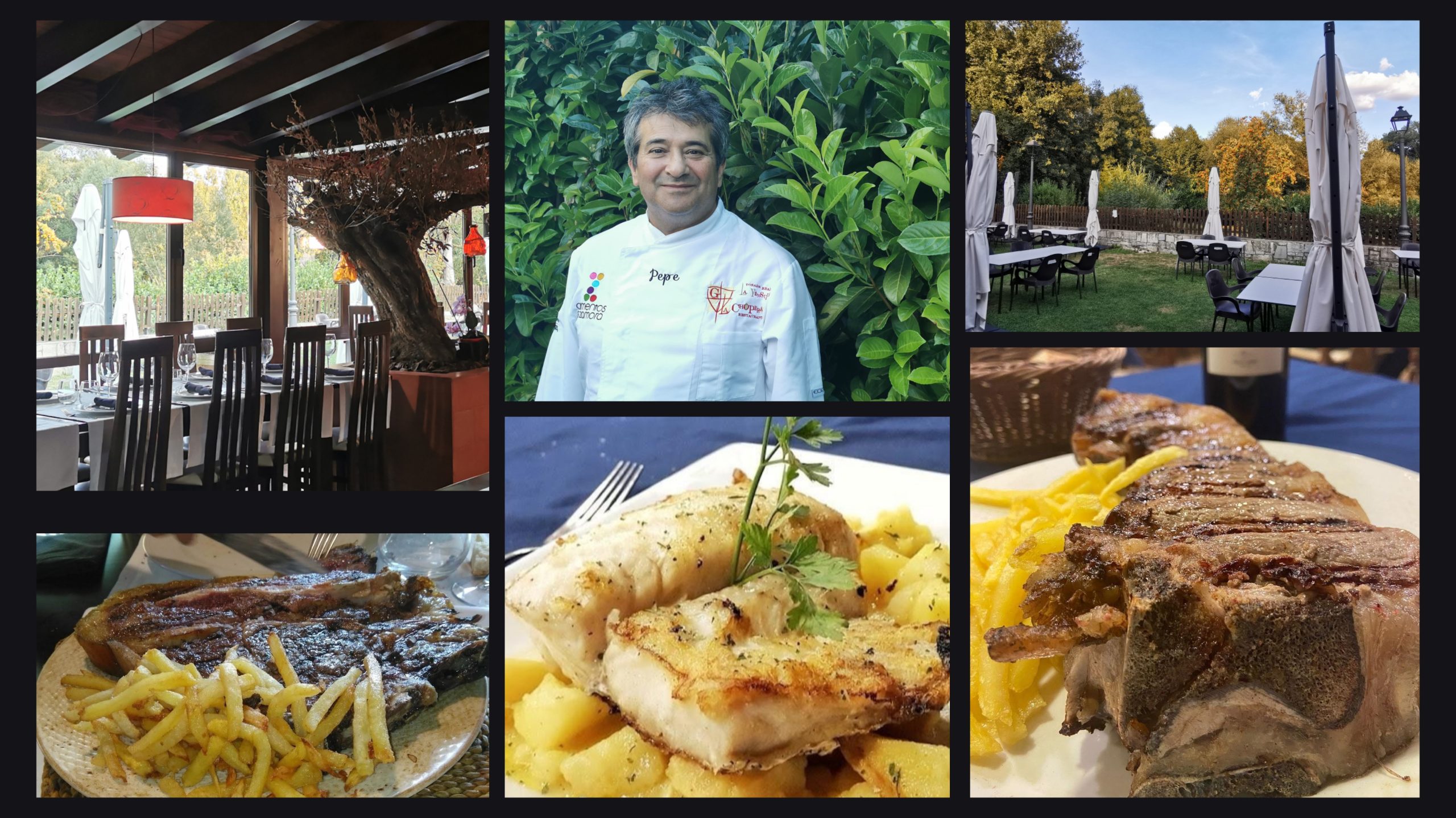 La Chopera, un templo de la cocina sanabresa a orillas del río Tera - Hostelería en Zamora